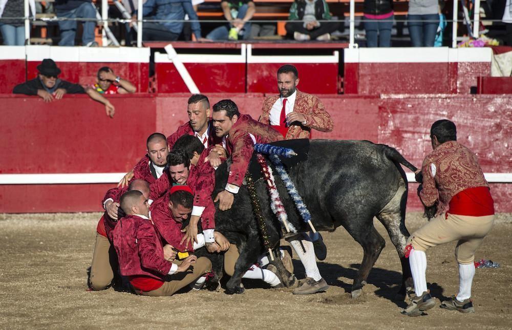 Touradas: uma solução vinda do Canadá - Jornal Fundamental