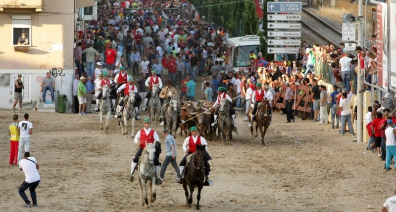 Colete Encarnado faz regressar a loucura da Festa a Vila Franca de Xira ...